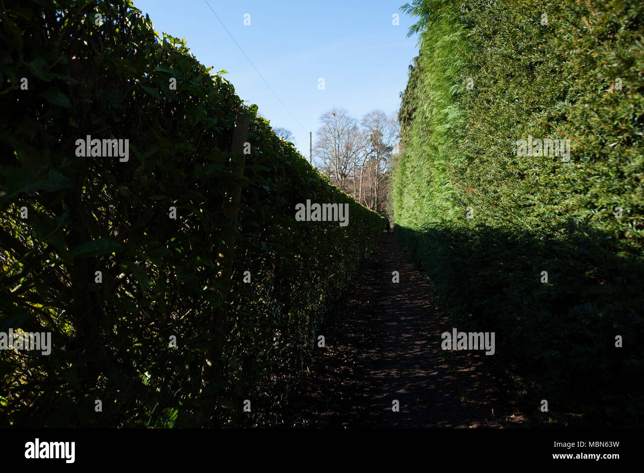 Hook heath surrey hi-res stock photography and images - Alamy