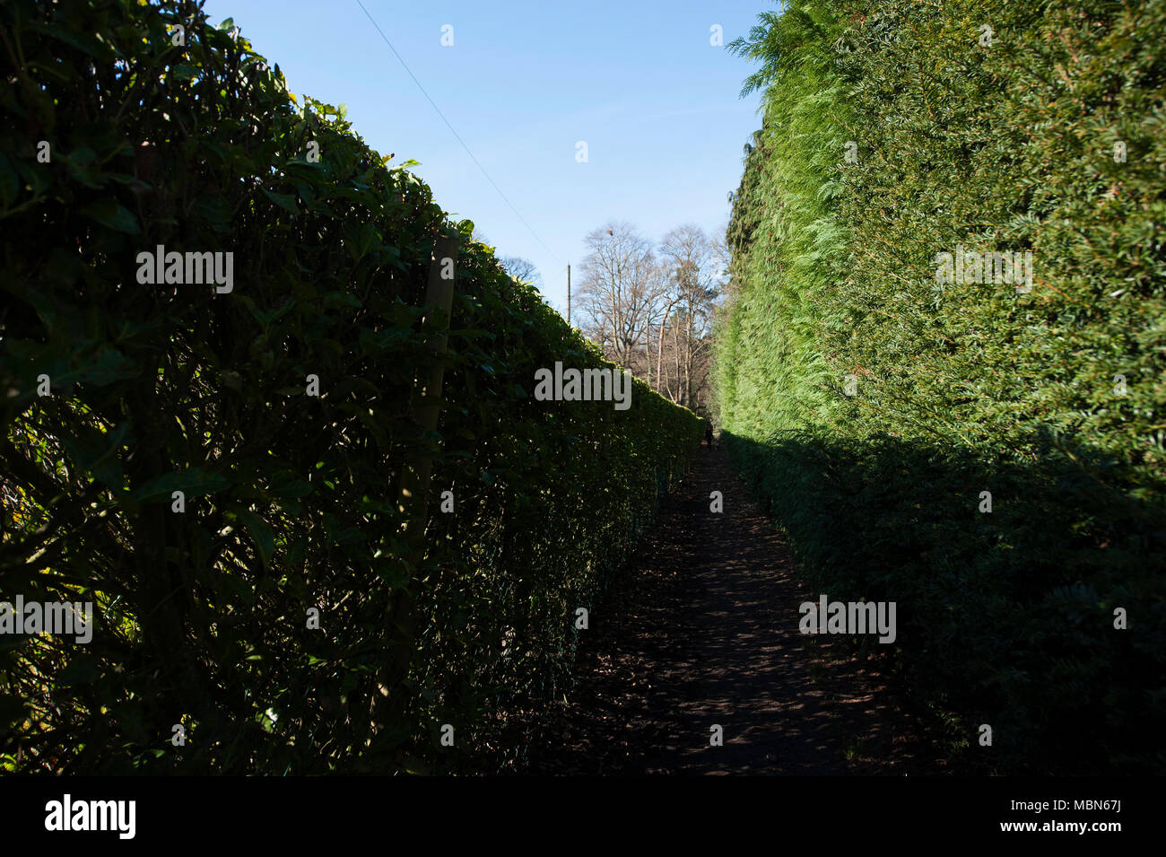 Hook heath surrey hi-res stock photography and images - Alamy