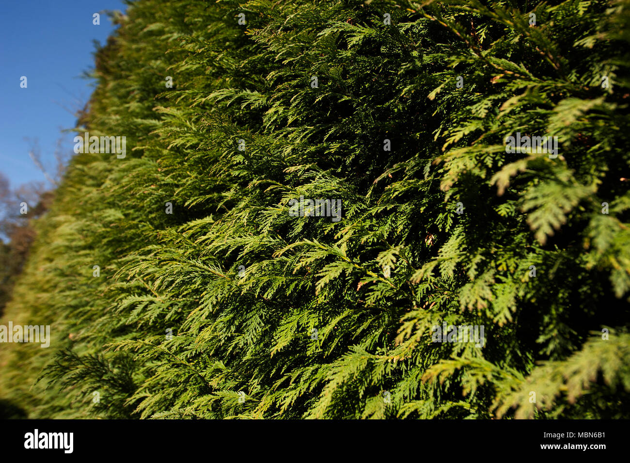 Hook heath surrey hi-res stock photography and images - Alamy