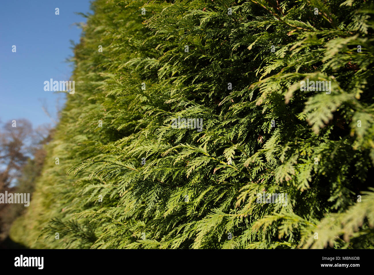 Hook heath surrey hi-res stock photography and images - Alamy