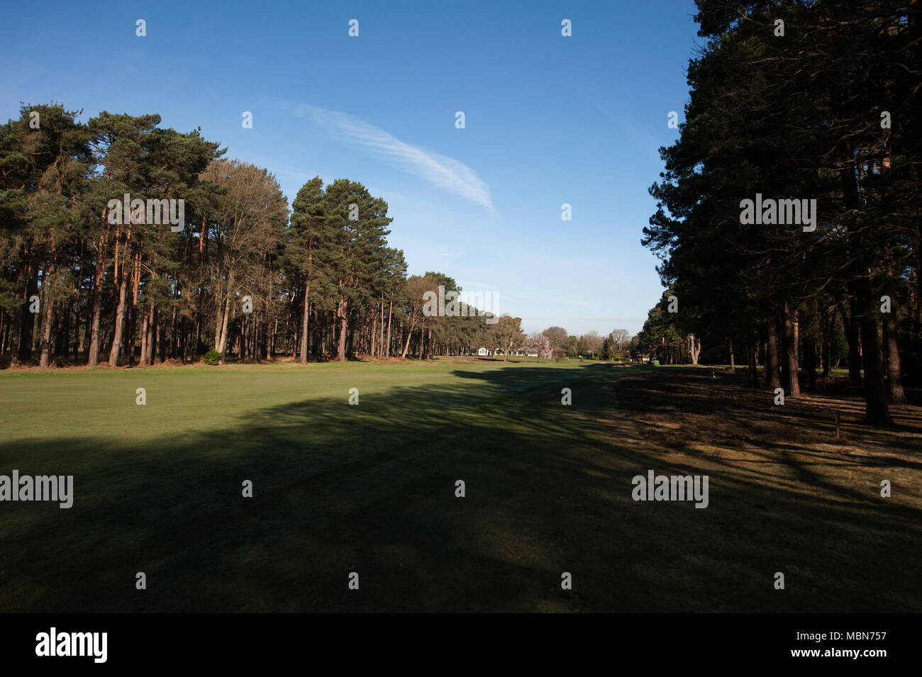 Hook Heath, Surrey, England, United Kingdom Stock Photo - Alamy