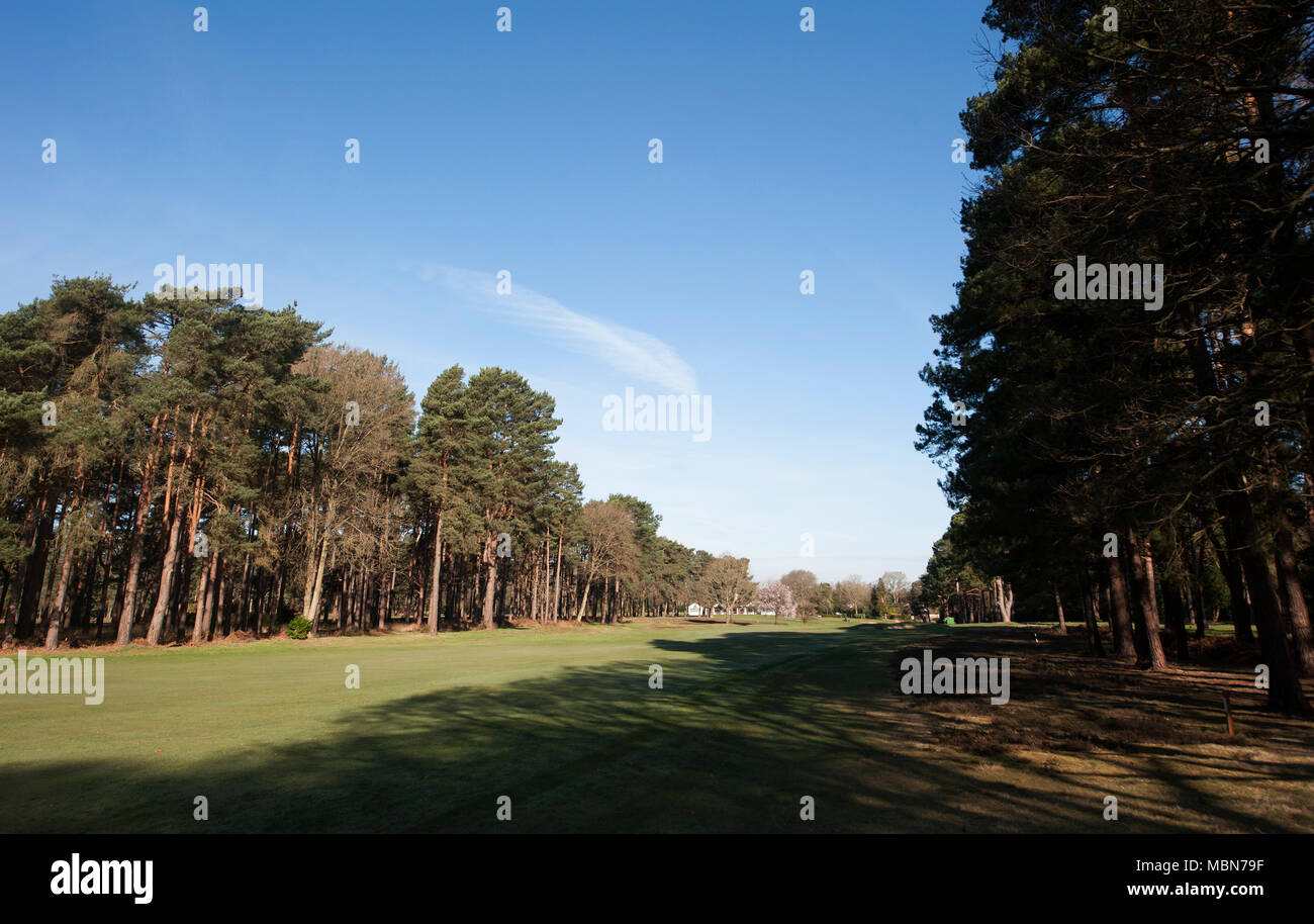 Hook heath surrey hi-res stock photography and images - Alamy