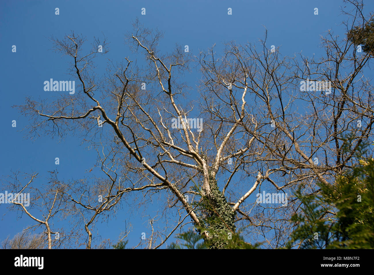 Hook heath surrey hi-res stock photography and images - Alamy