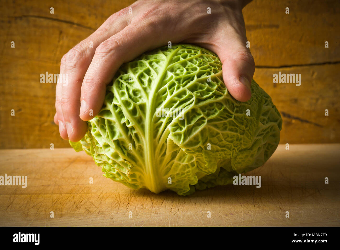 Studio still life of a white cabbage Stock Photo - Alamy
