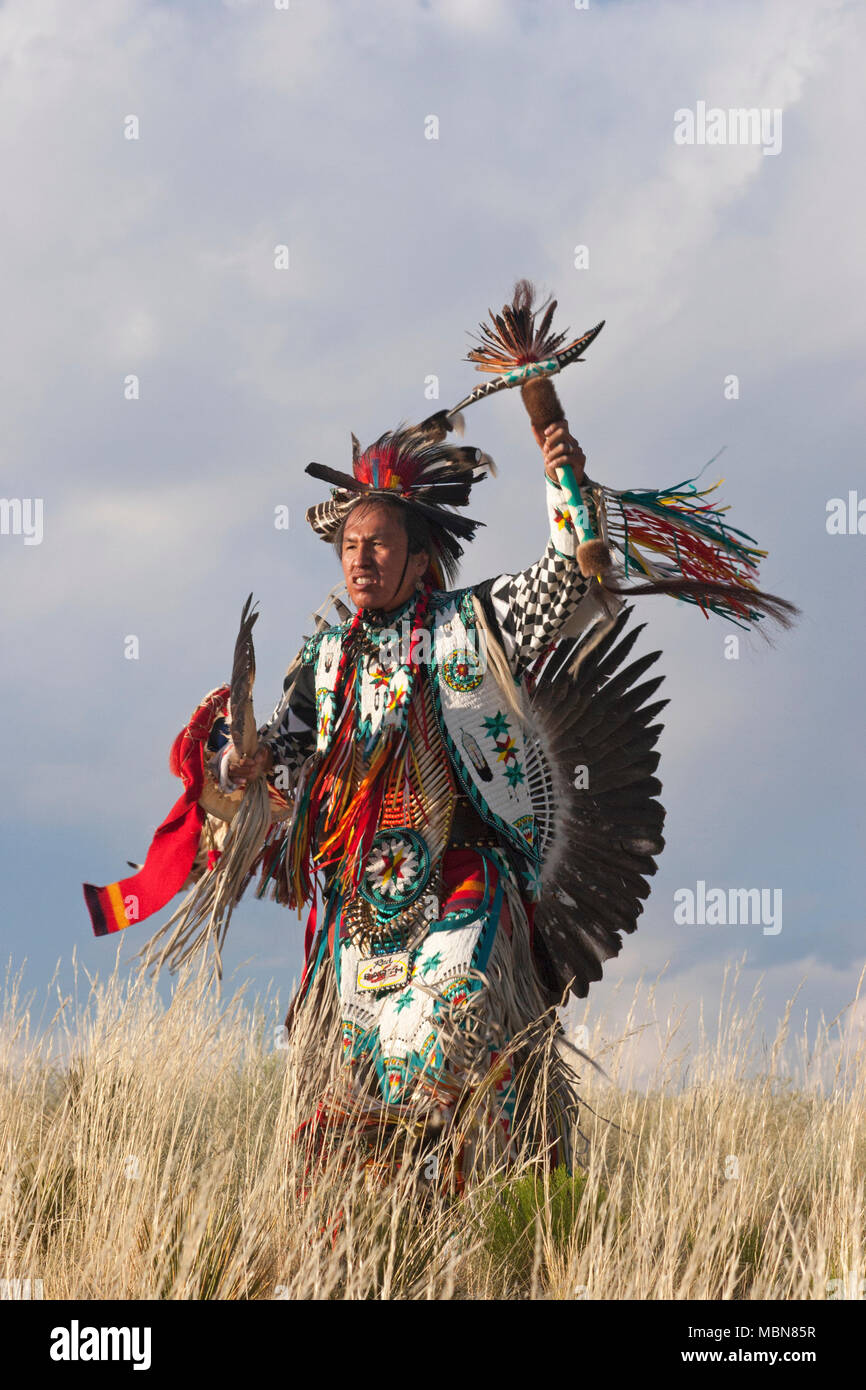 Native American man wearing traditional Cheyenne costume, dancing on ...