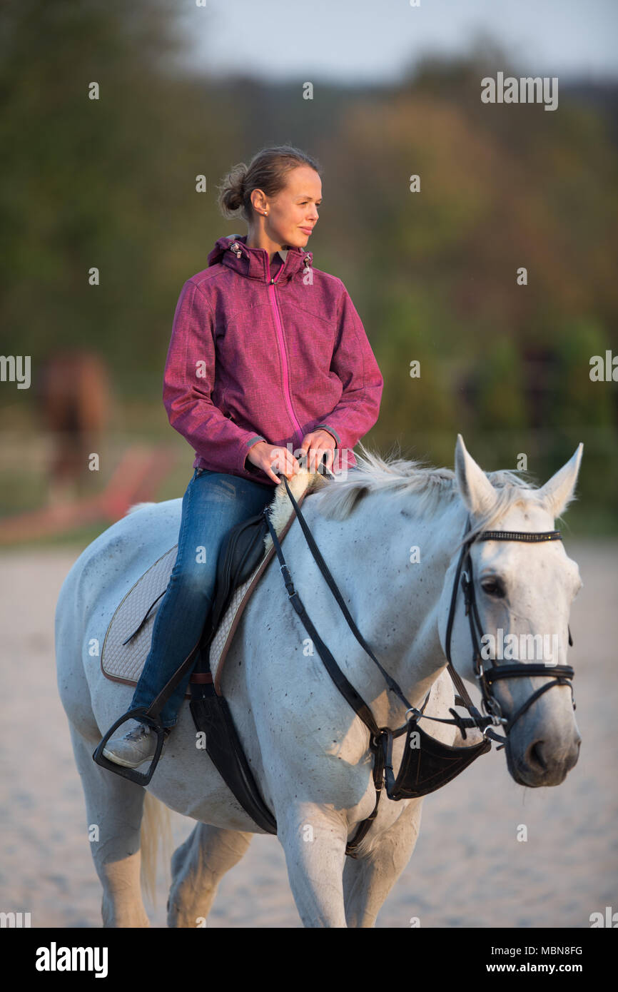 Horseback rider, woman riding a horse Stock Photo - Alamy