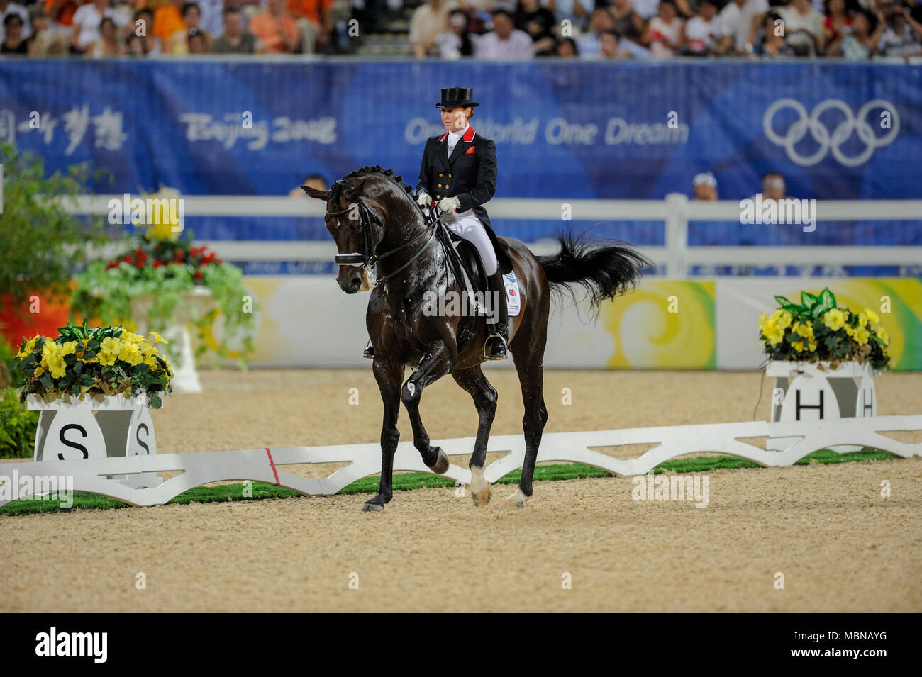 Dressage olympics hi-res stock photography and images - Alamy