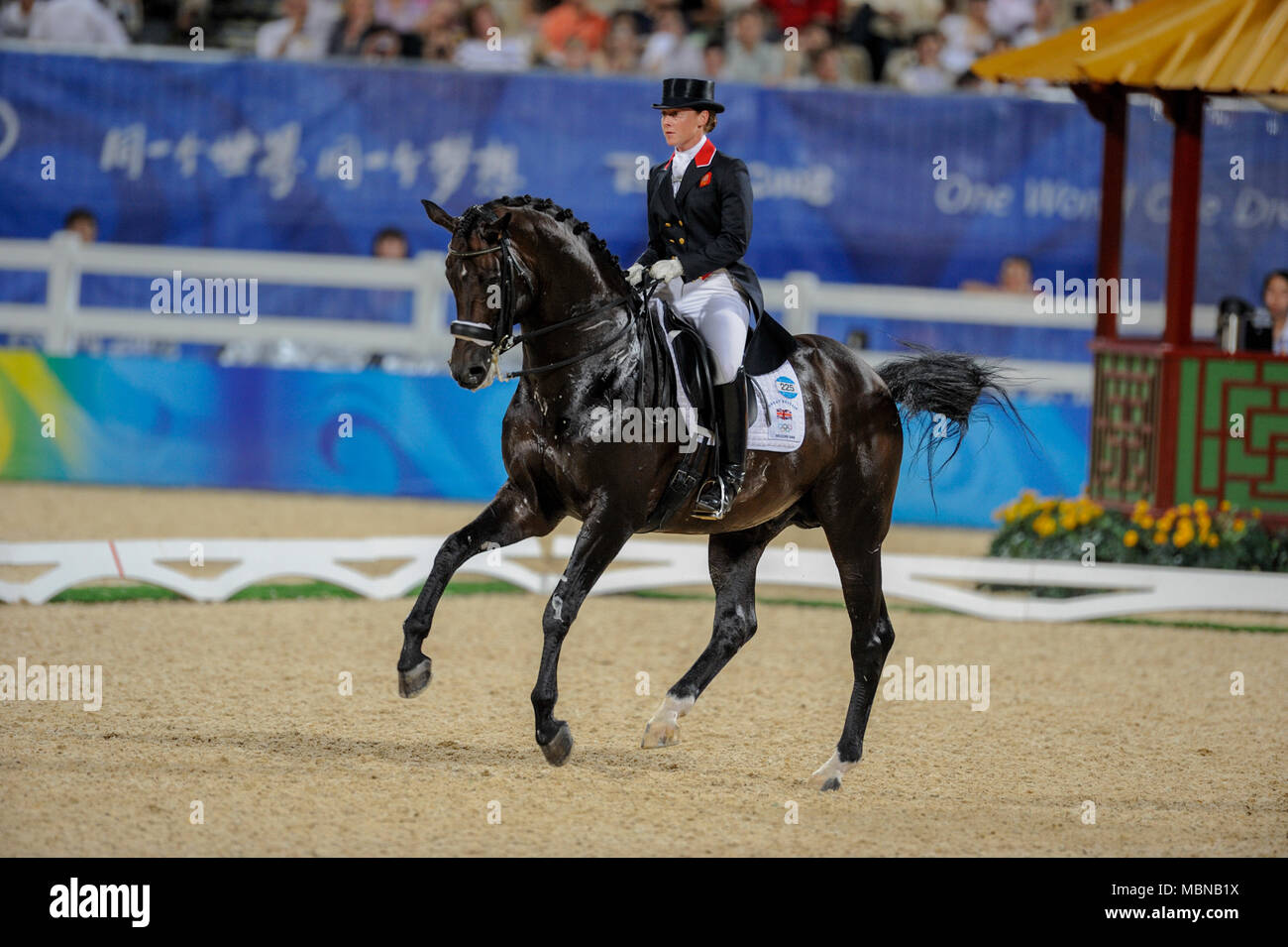 Equine medals hi-res stock photography and images - Alamy