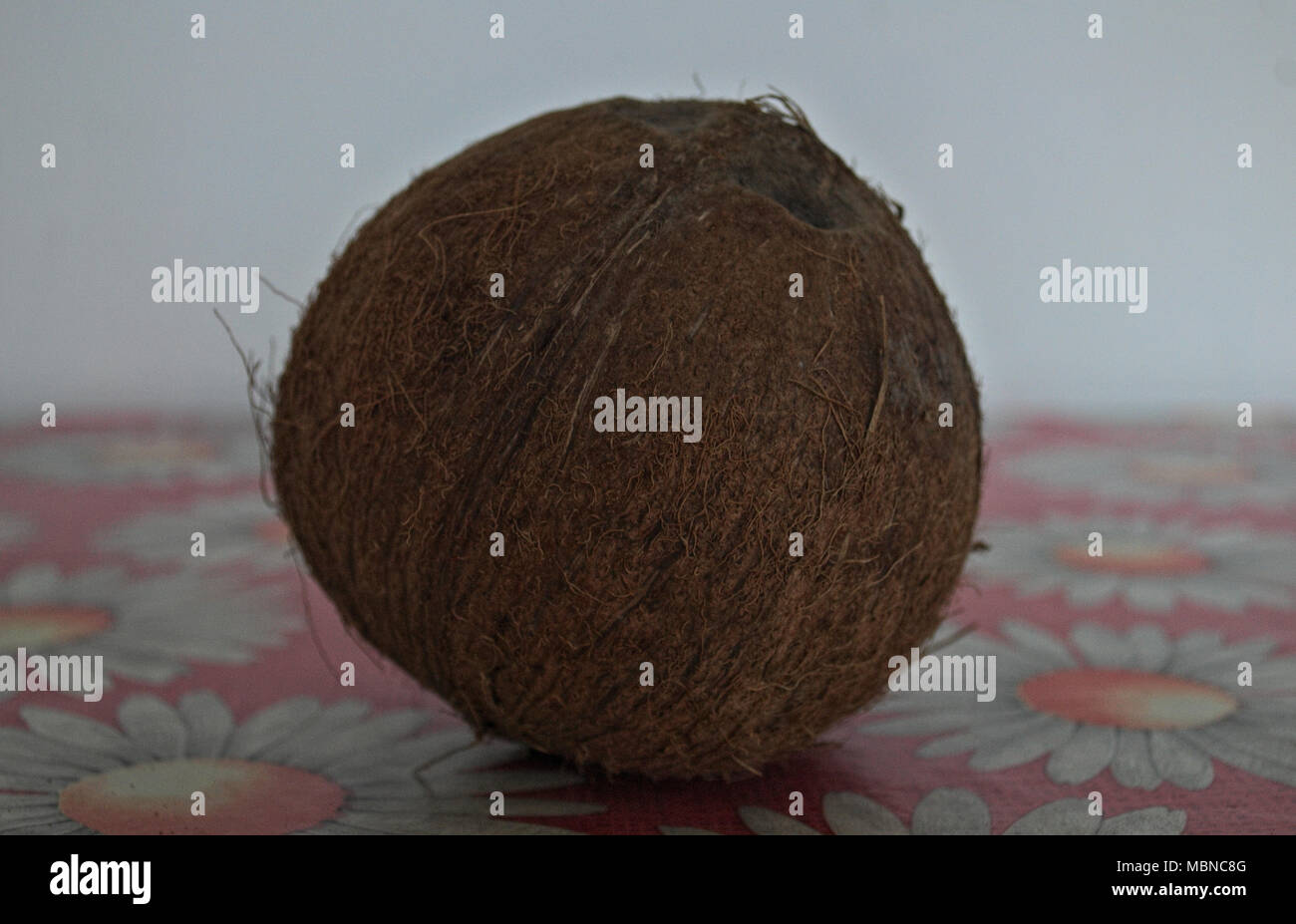 Whole coconut hi-res stock photography and images - Alamy