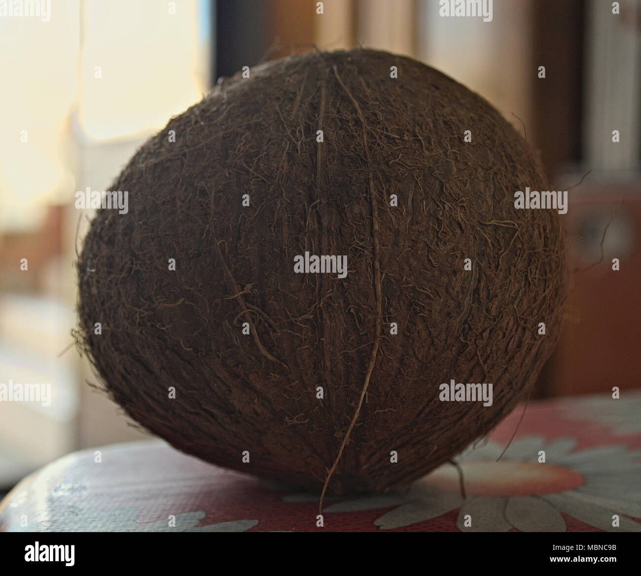 Whole coconut hi-res stock photography and images - Alamy