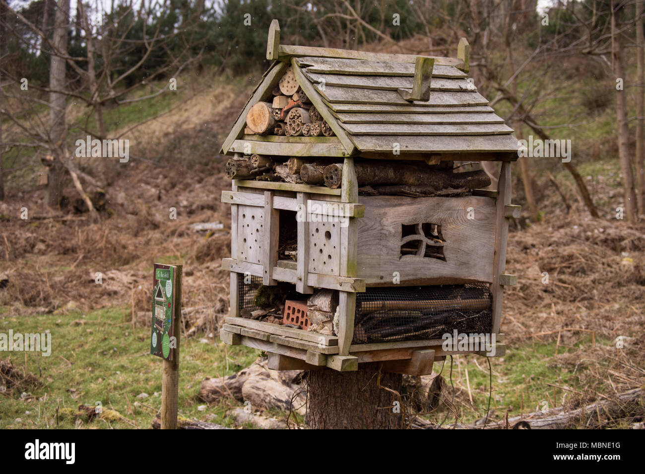Environmental woodland hi-res stock photography and images - Alamy