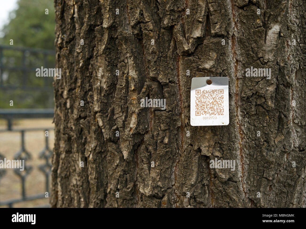 Qr code registration hi-res stock photography and images - Alamy