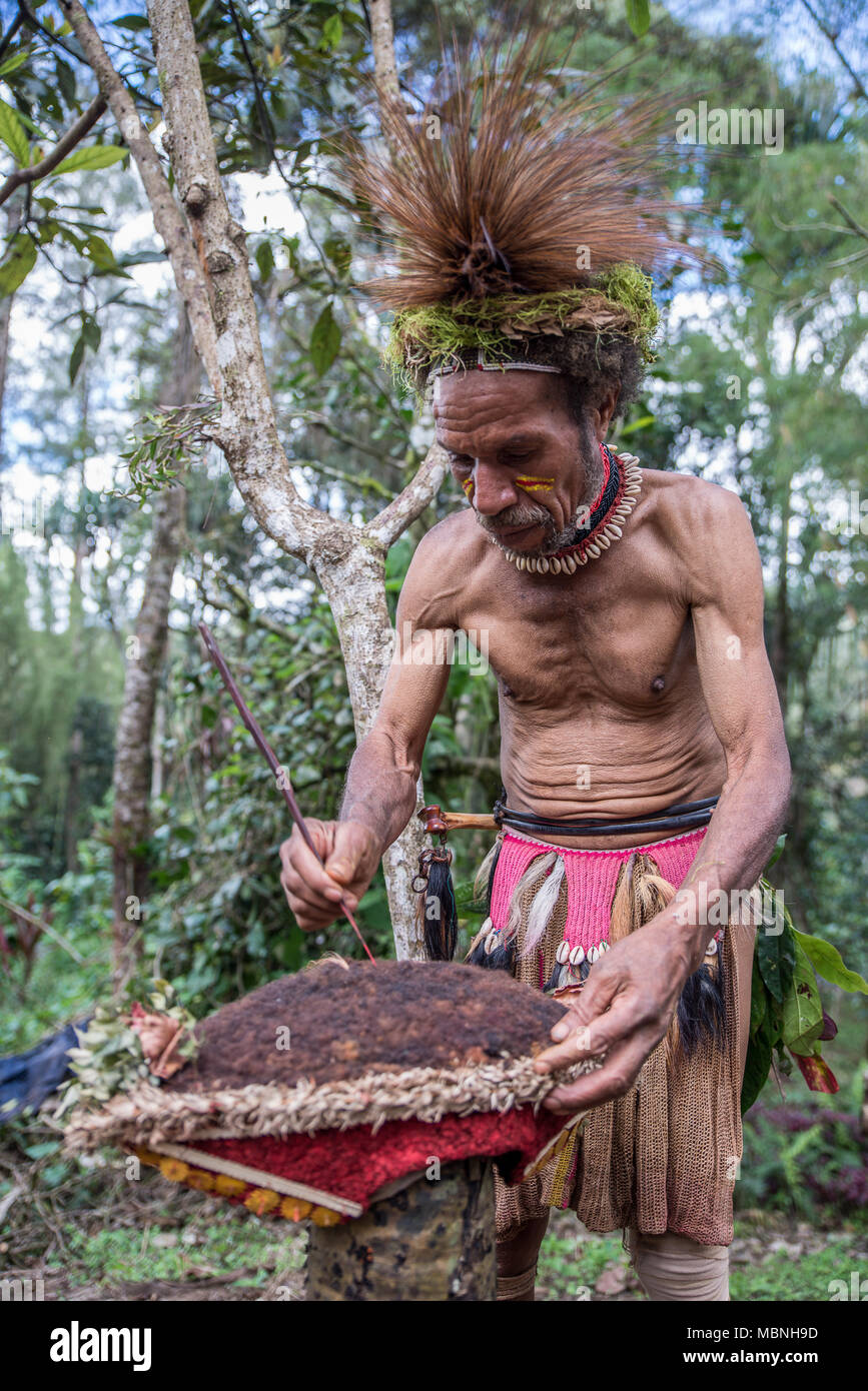 A Huli wigmaster upkeeping a traditional wig/headdress, Tari Valley ...