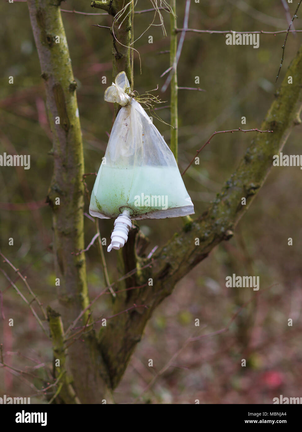Bag hanging tree hi-res stock photography and images - Alamy