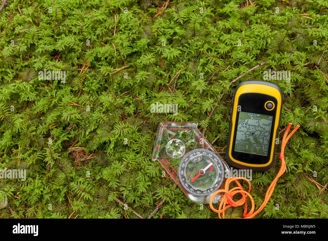 finding the right position in the forest with a compass and GPS Stock ...