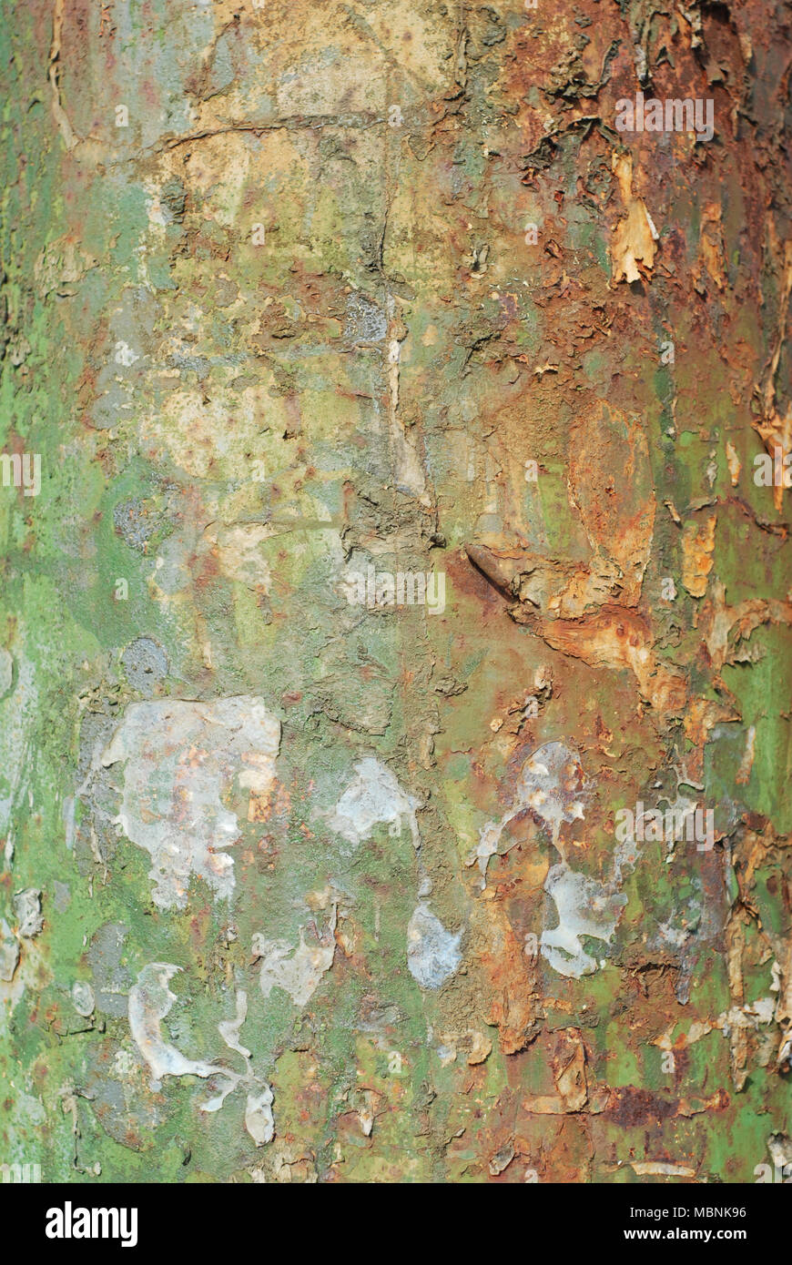 Grunge Abstract Texture Green Rusty Metal Background Stock Photo - Alamy