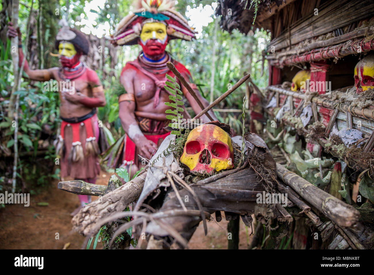 Indigenous human skulls hi-res stock photography and images - Alamy