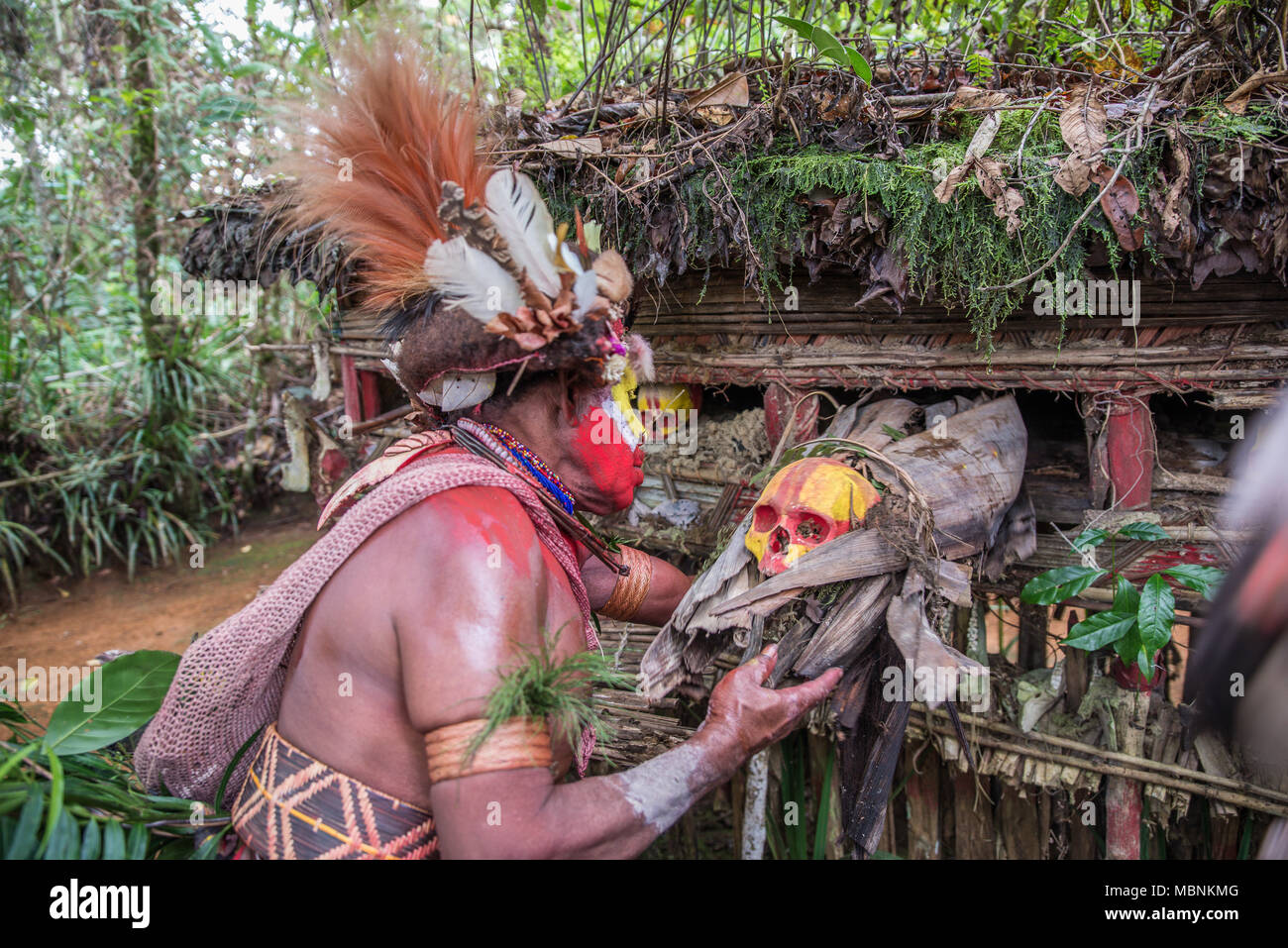 A Huli fortune-teller predicting events basing on painted skulls, Tari ...
