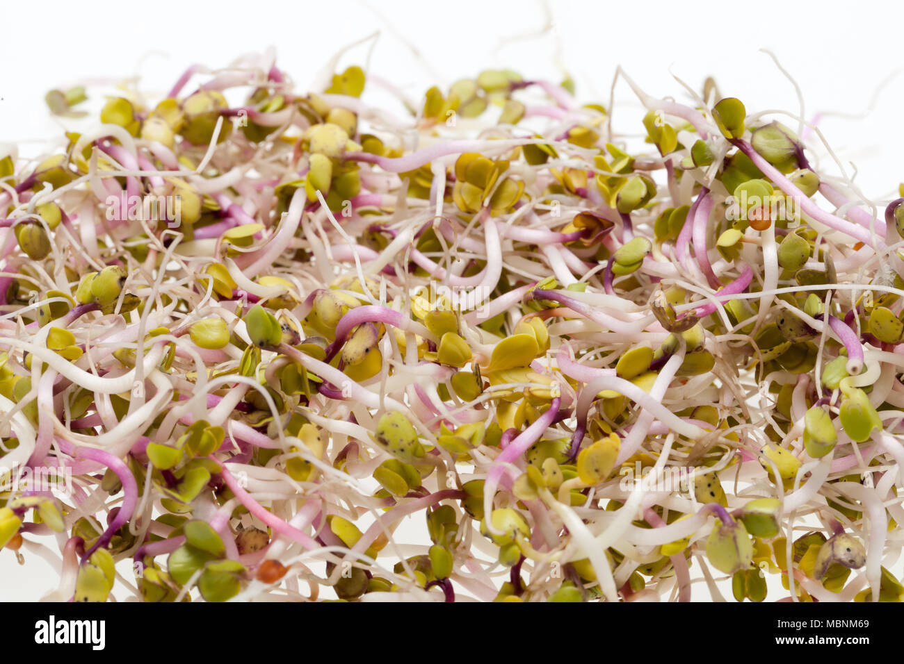 The healthy diet. Fresh sprouts isolated on white background Stock ...
