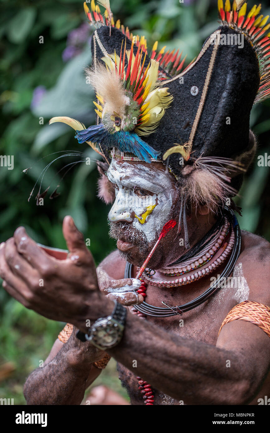 A Huli wigman getting ready for a sing-sing performance, Tari Valley ...