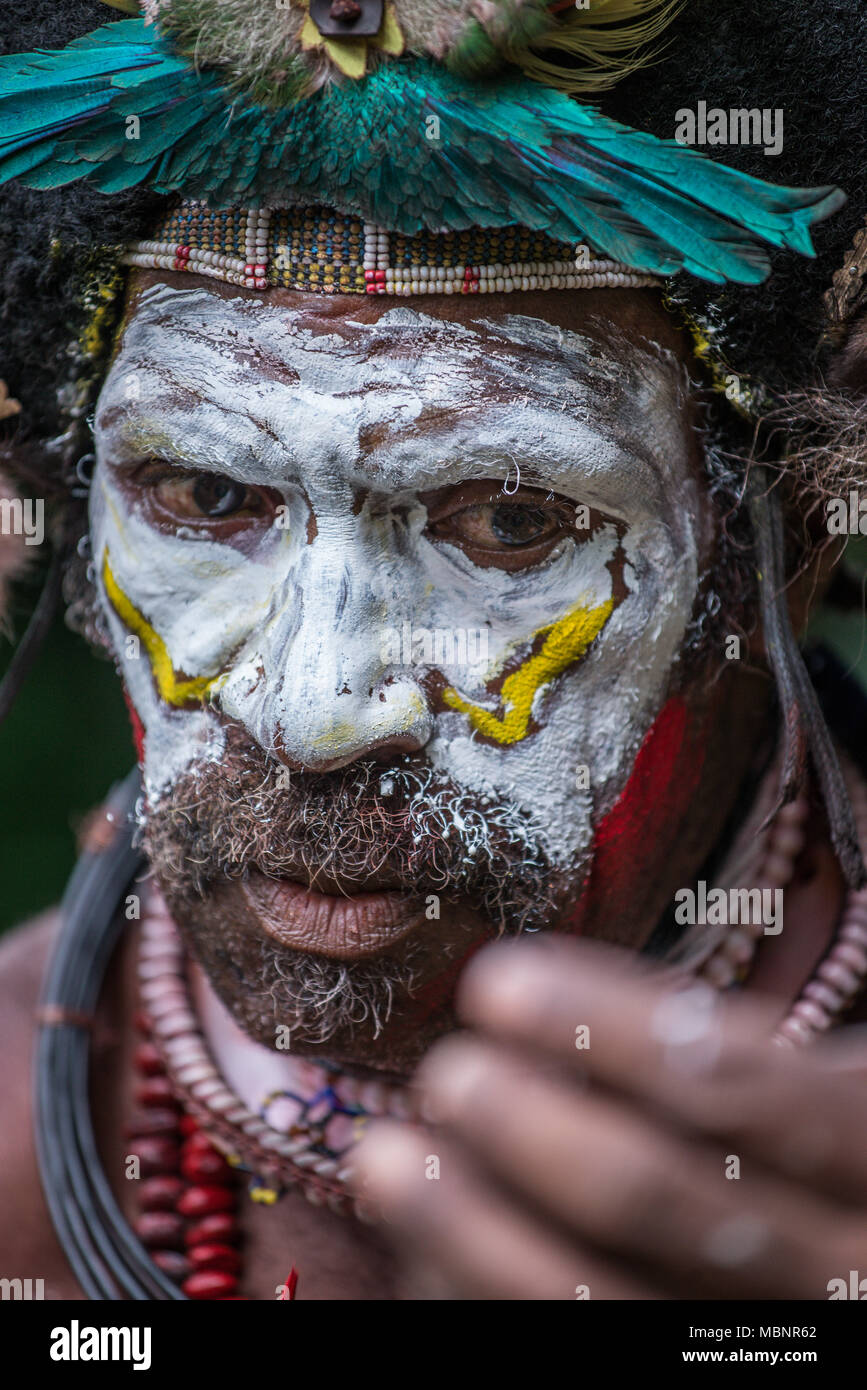 A Huli wigman getting ready for a sing-sing performance, Tari Valley ...