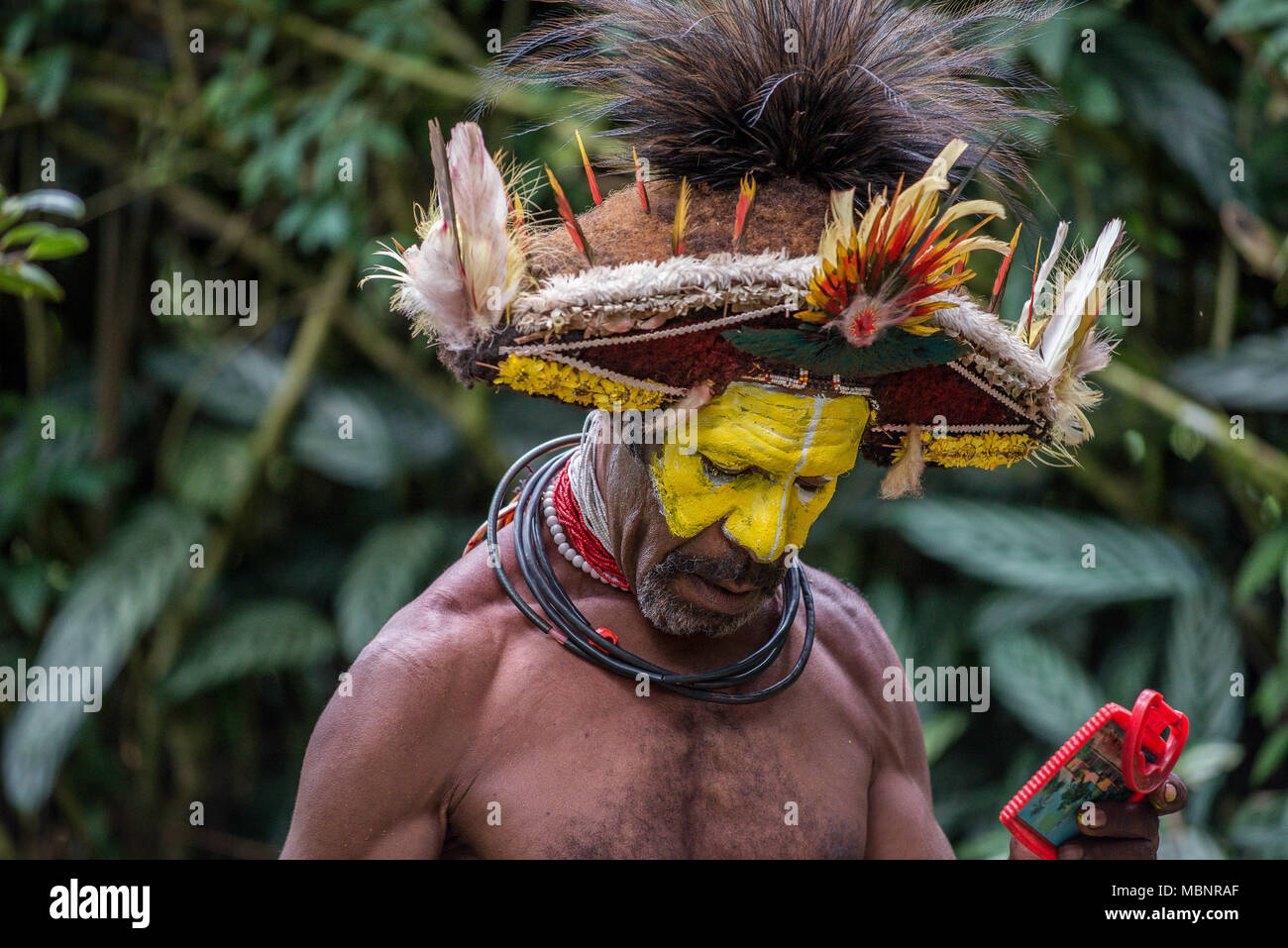 A Huli wigman getting ready for a sing-sing performance, Tari Valley ...