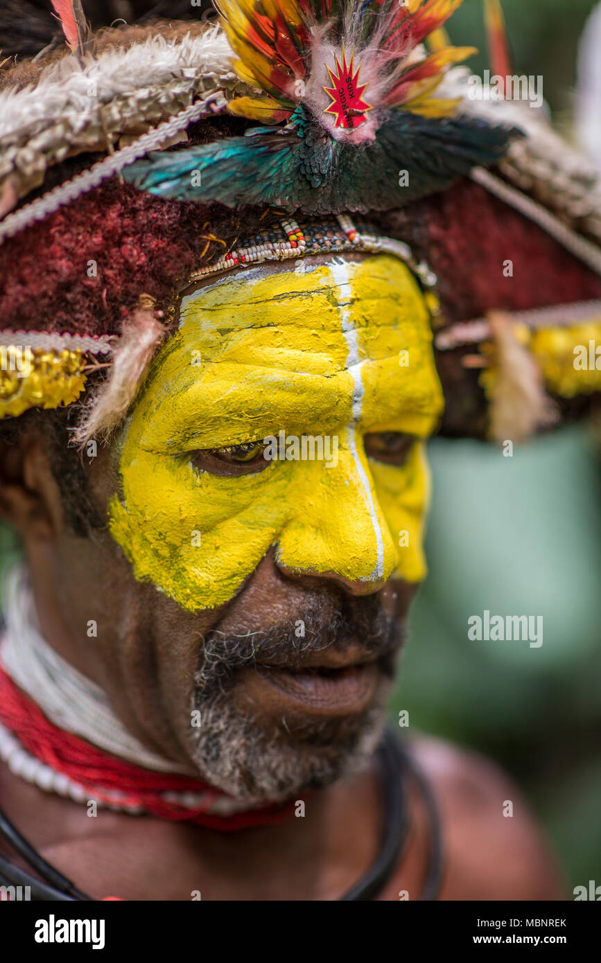 Close-up portrait of Huli wigman with painted face before a sing-sing ...