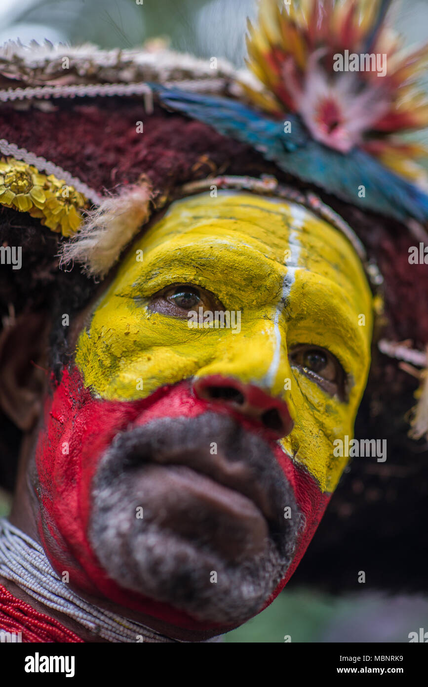 Close-up portrait of Huli wigman with painted face before a sing-sing ...