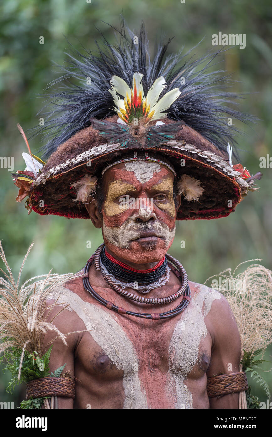 Portrait of an adult Huli wigman performing during a sing-sing, Tari ...