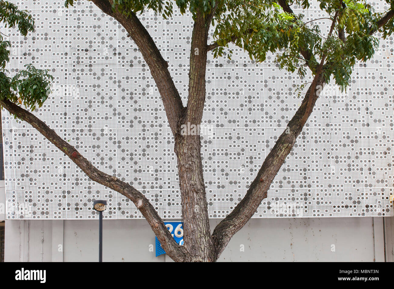 Tree in front spotted hi-res stock photography and images - Alamy