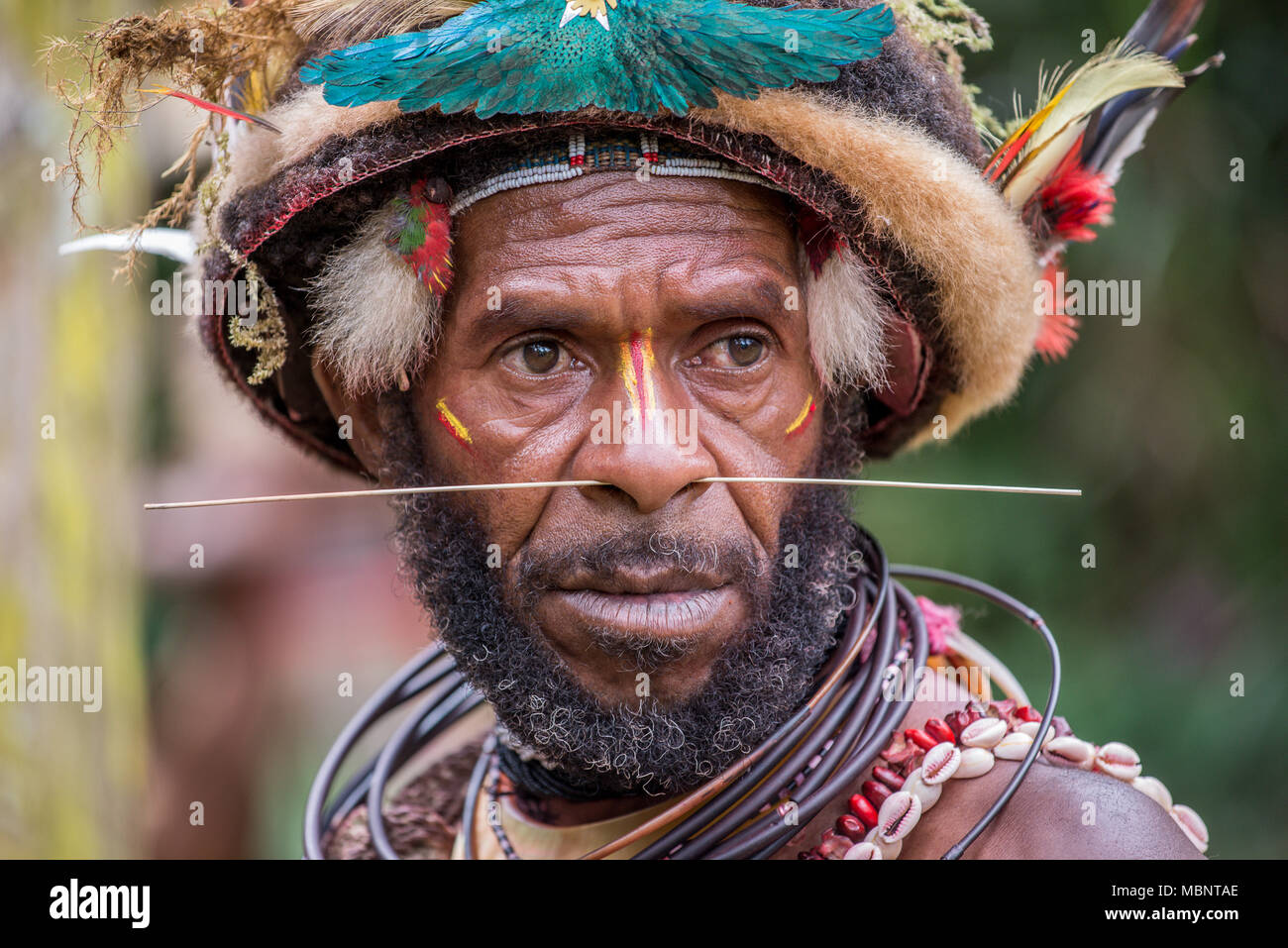 Portrait of an adult Huli wigman performing during a sing-sing, Tari ...