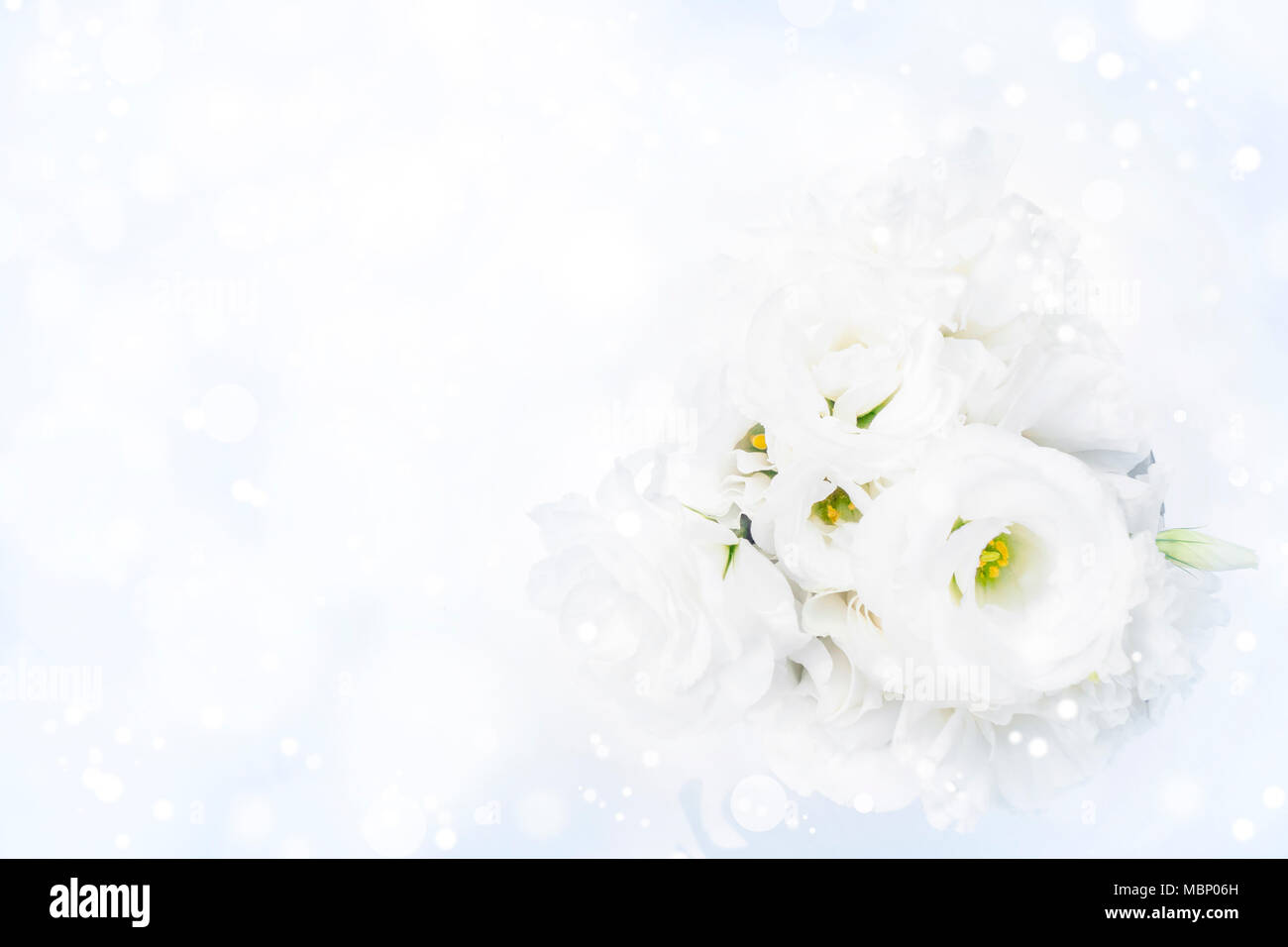 White roses bouquet hi-res stock photography and images - Alamy