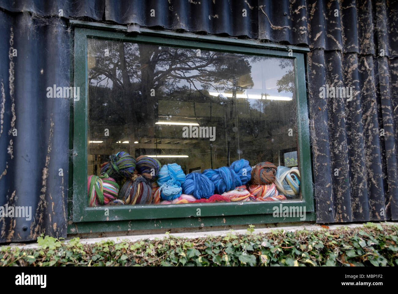 A workshop window of wool bundles at the Avoca hand weavers, famous for ...