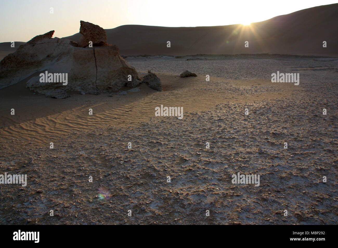 Fossil Clam Shells in the Sahara Desert near Siwa Oasis Stock Photo - Alamy