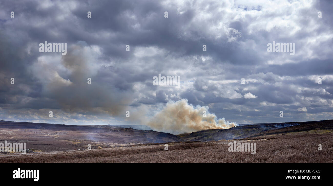 Heather burning on Grouse moorland in February. Looking south west from ...