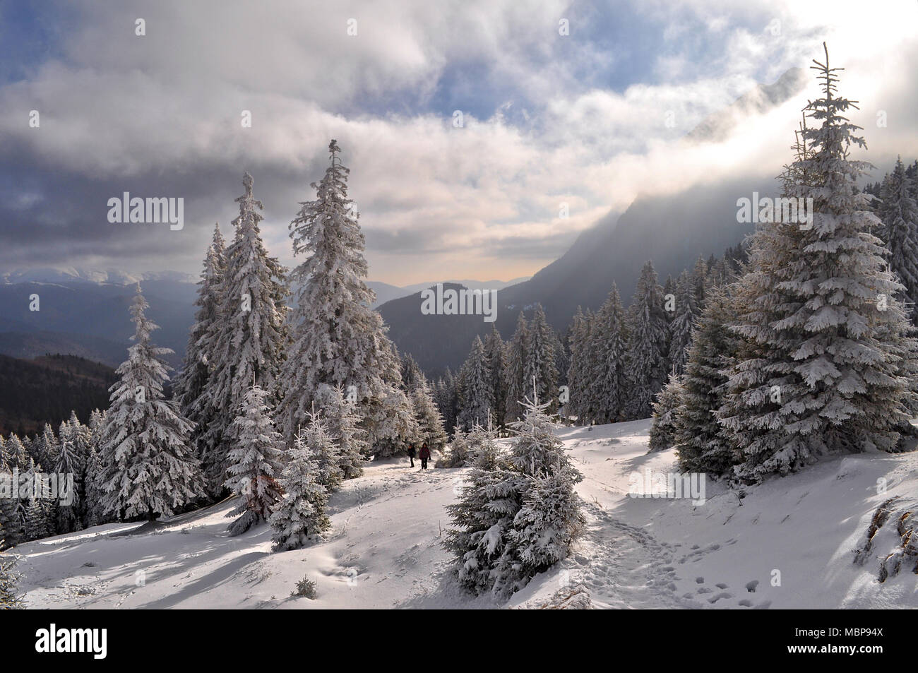 Bucegi brasov hi-res stock photography and images - Alamy