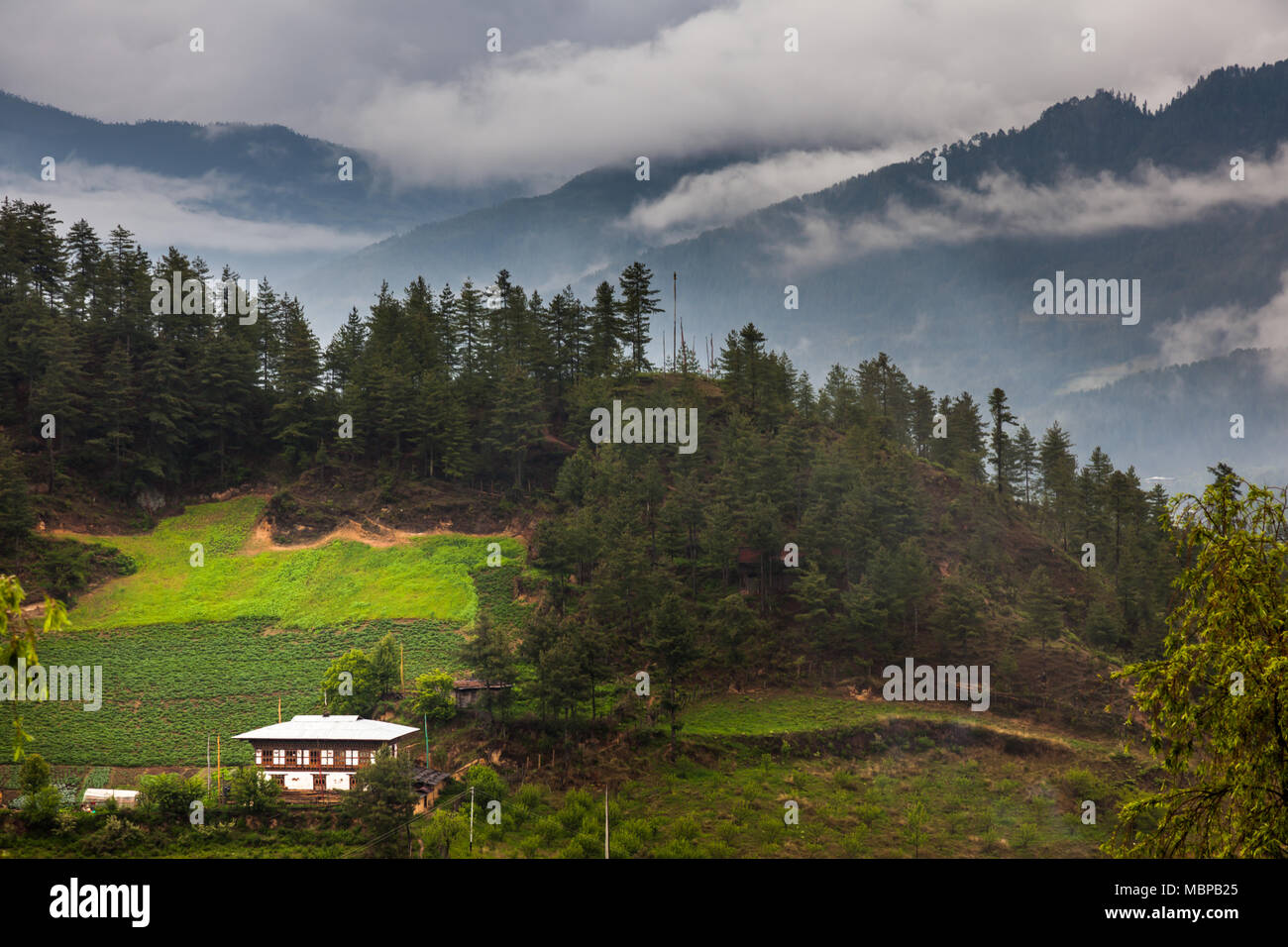 Landscape from road trip to Bhutan in Himalayas Stock Photo - Alamy