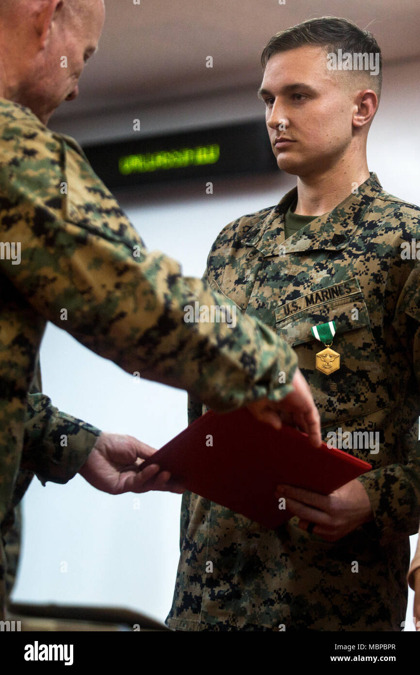 Sgt. Justin Erler receives the Navy and Marine Corps Commendation Medal ...
