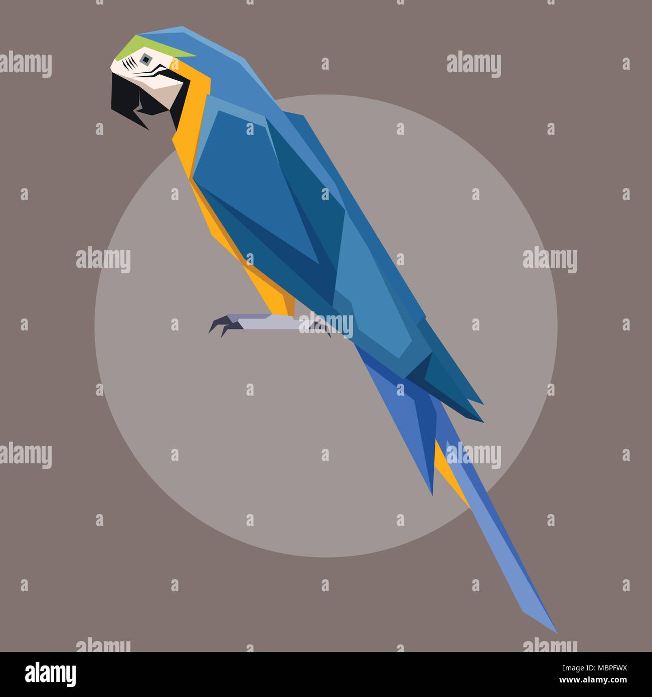 Art blue yellow macaw bird hi-res stock photography and images - Alamy