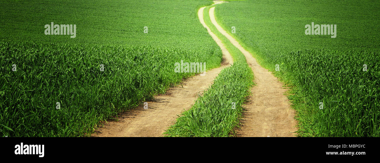 view of fresh grass and road in the field. freedom and renewal concept ...