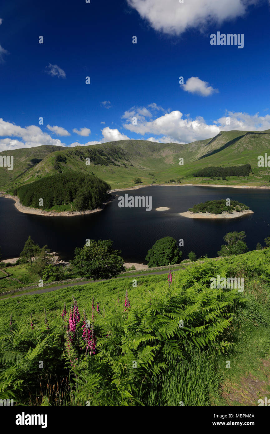 Summer view over Haweswater reservoir, Lake District National Park ...