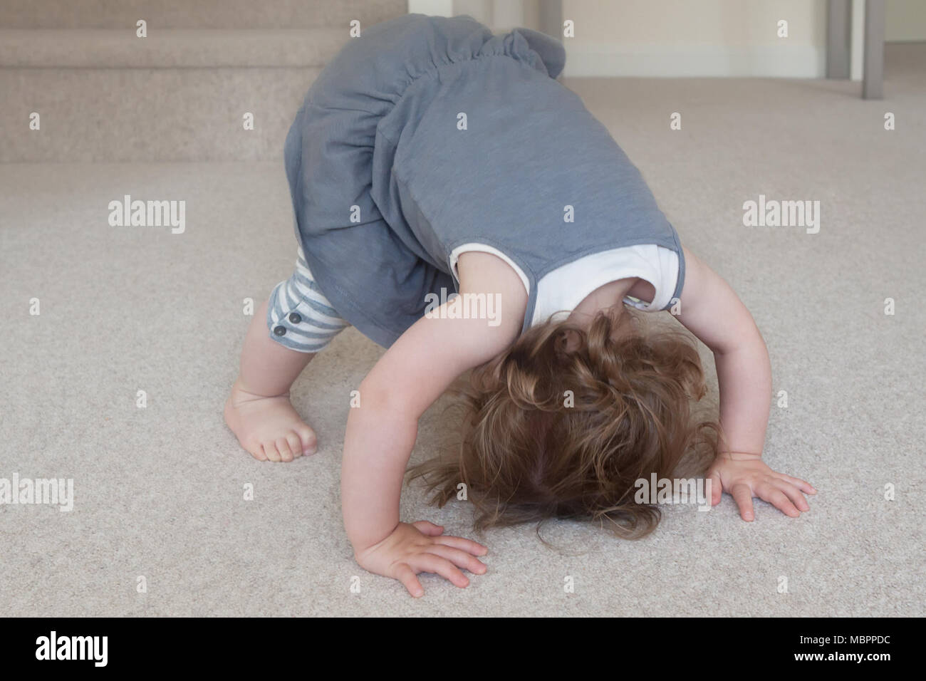 Roly poly hi-res stock photography and images - Alamy