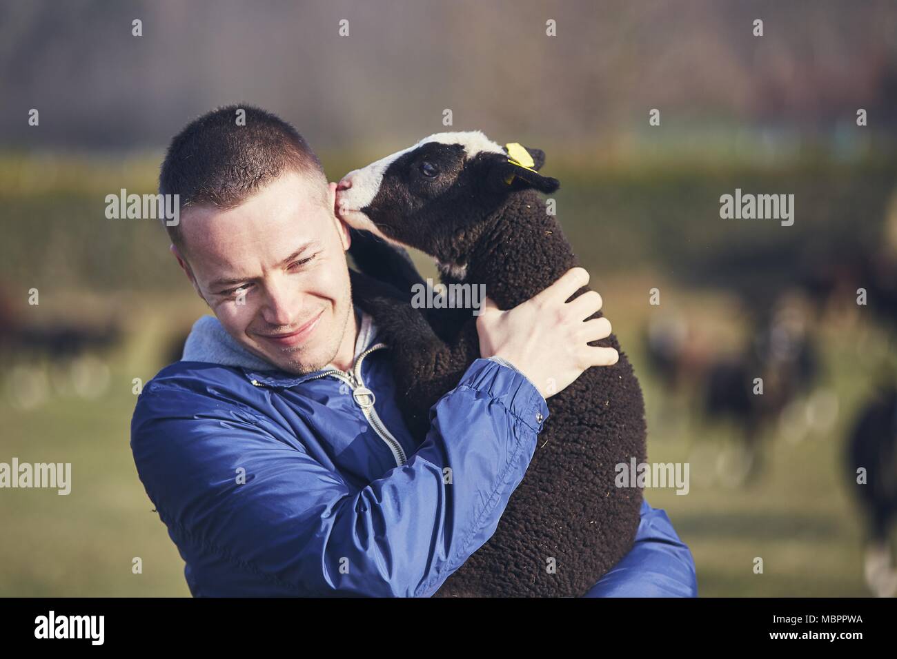 Sheep herd farmer hi-res stock photography and images - Alamy