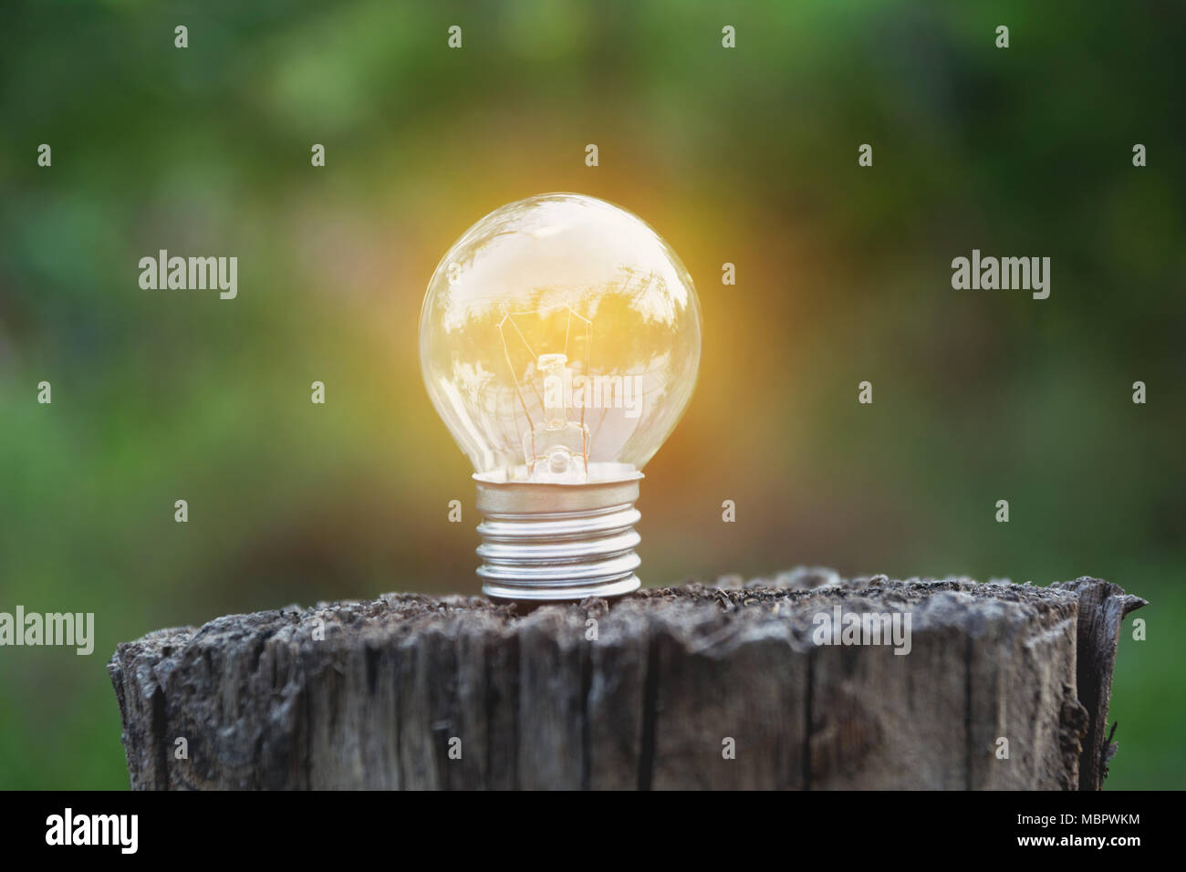 Energy light bulbs hi-res stock photography and images - Alamy