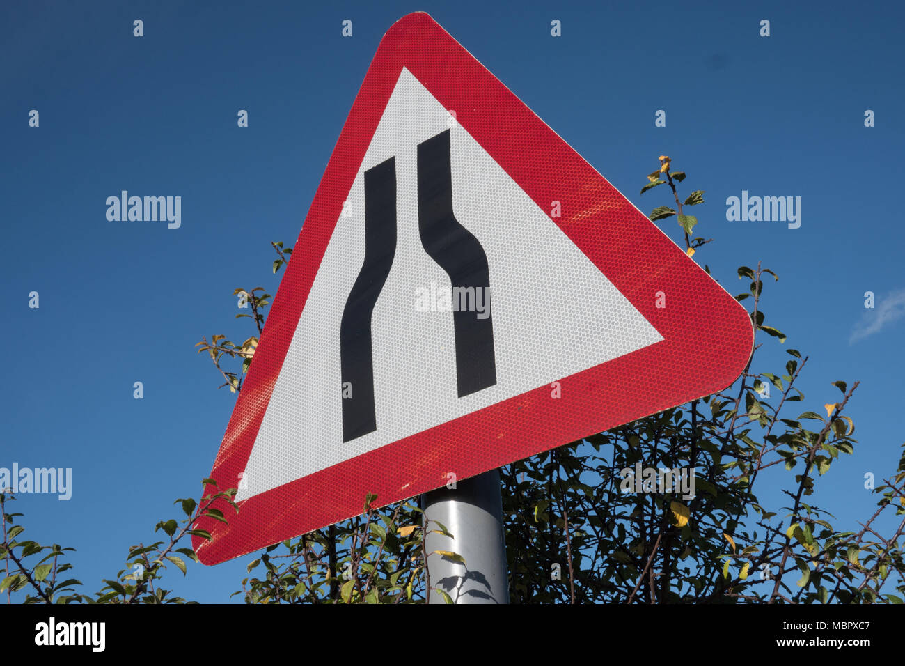 Road Narrows Sign High Resolution Stock Photography and Images - Alamy