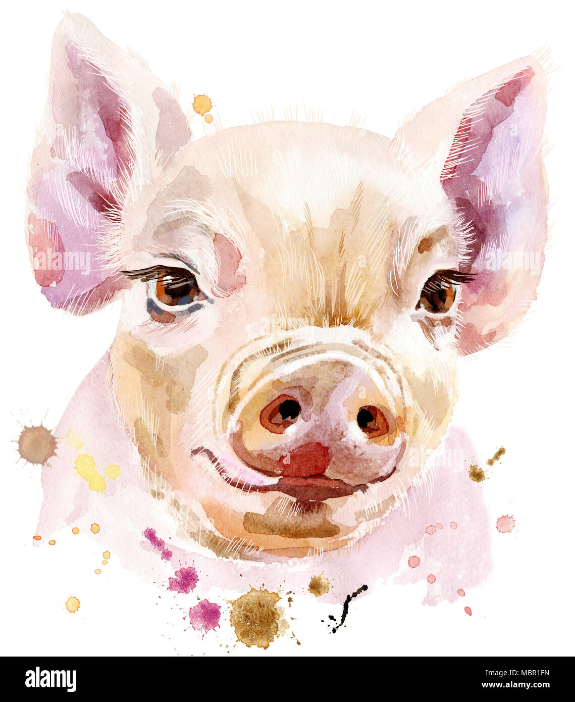 Watercolor portrait of mini pig Stock Photo - Alamy