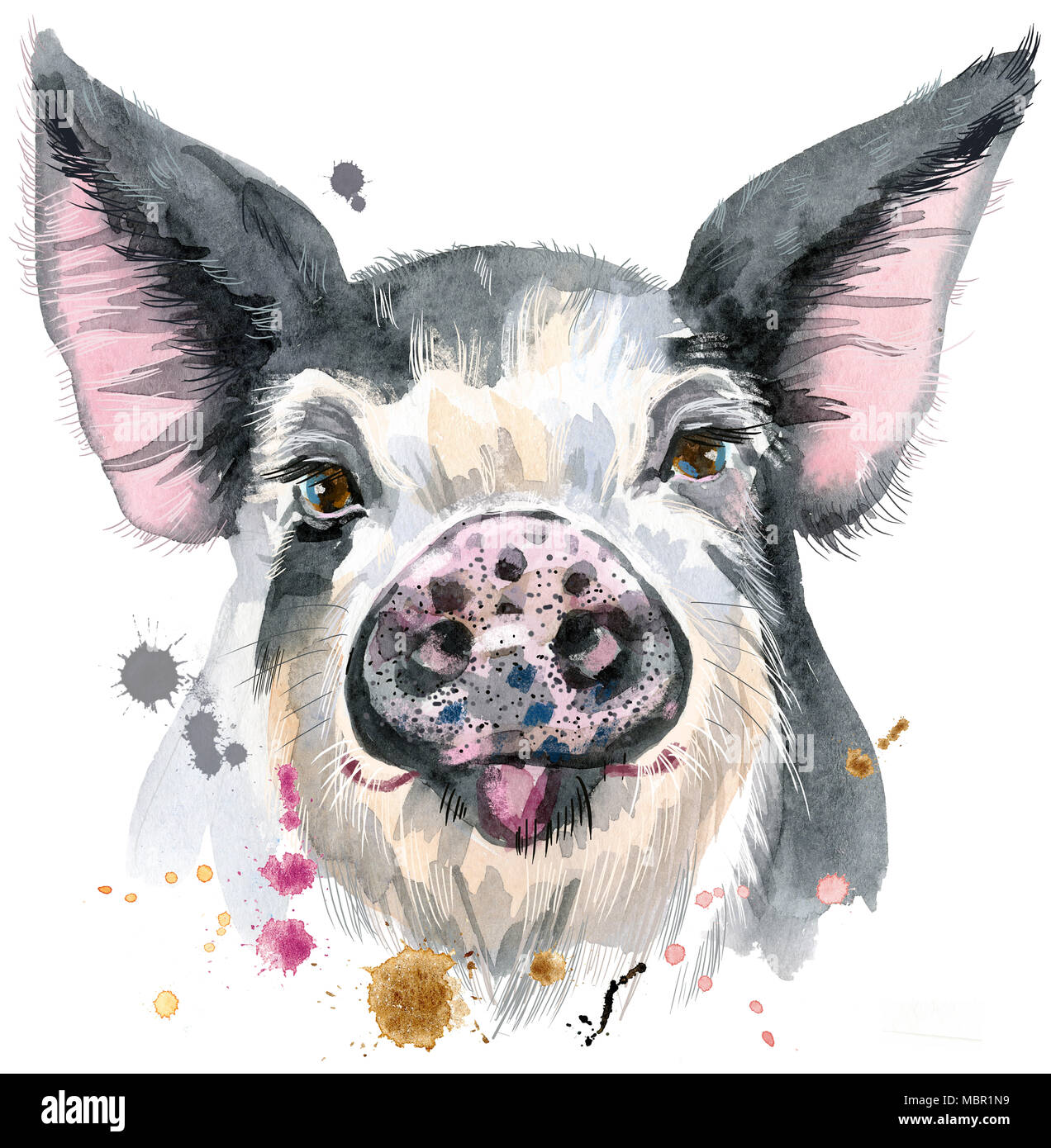 Watercolor portrait of pig Stock Photo - Alamy
