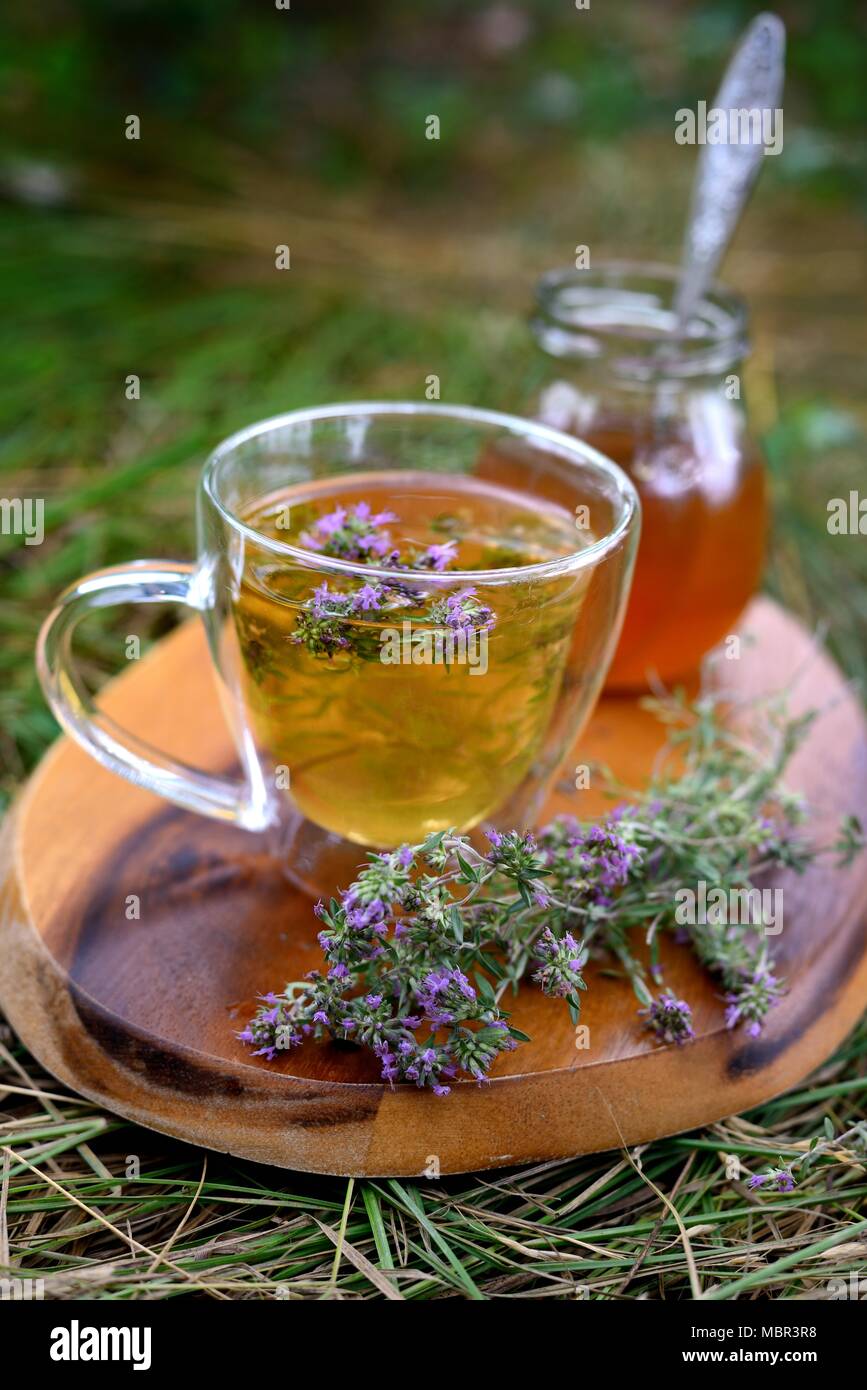 Tea with wild thyme Stock Photo - Alamy