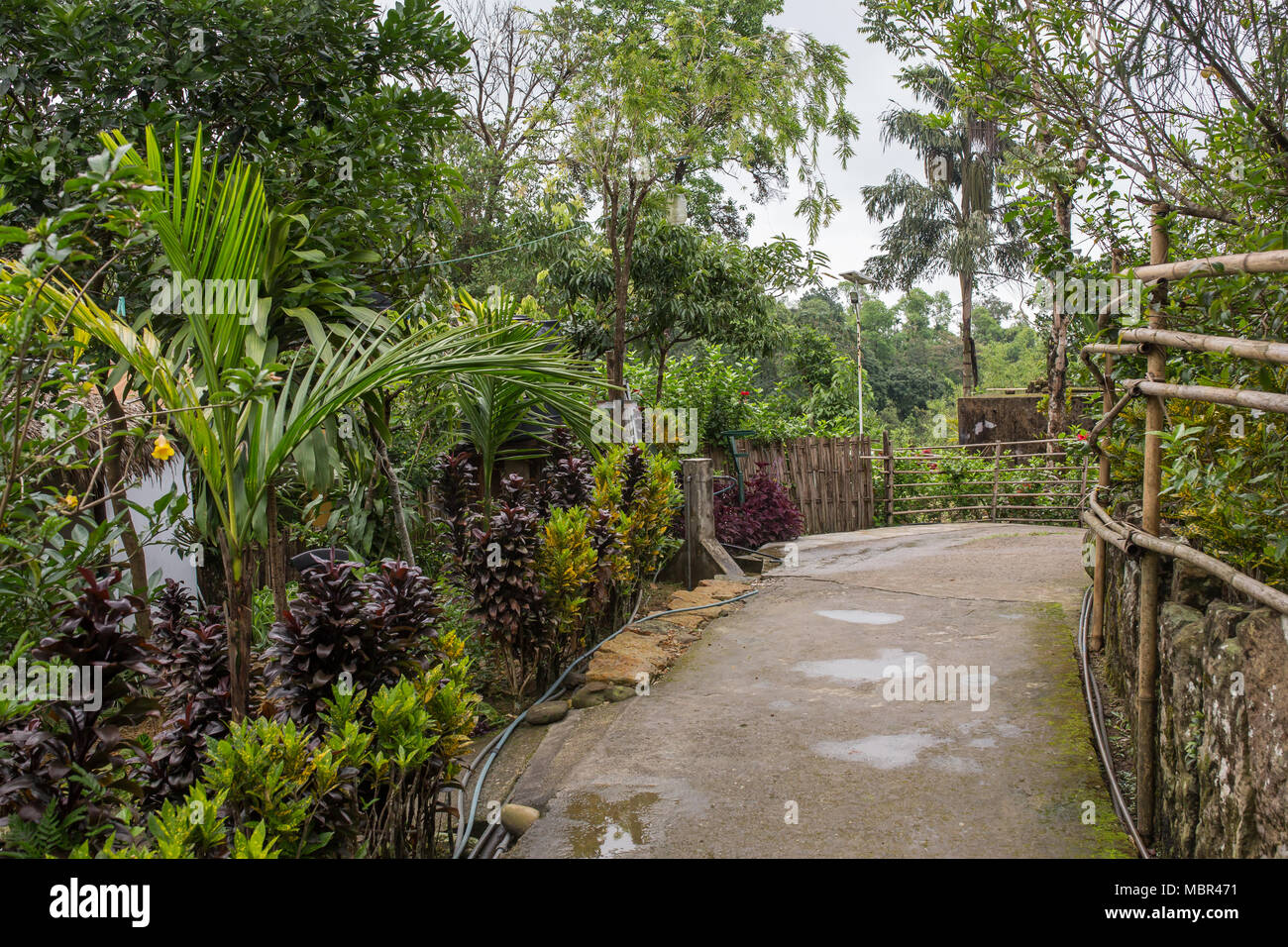Clean pathway in Mawlynnong village, Meghalaya, North East India. It ...
