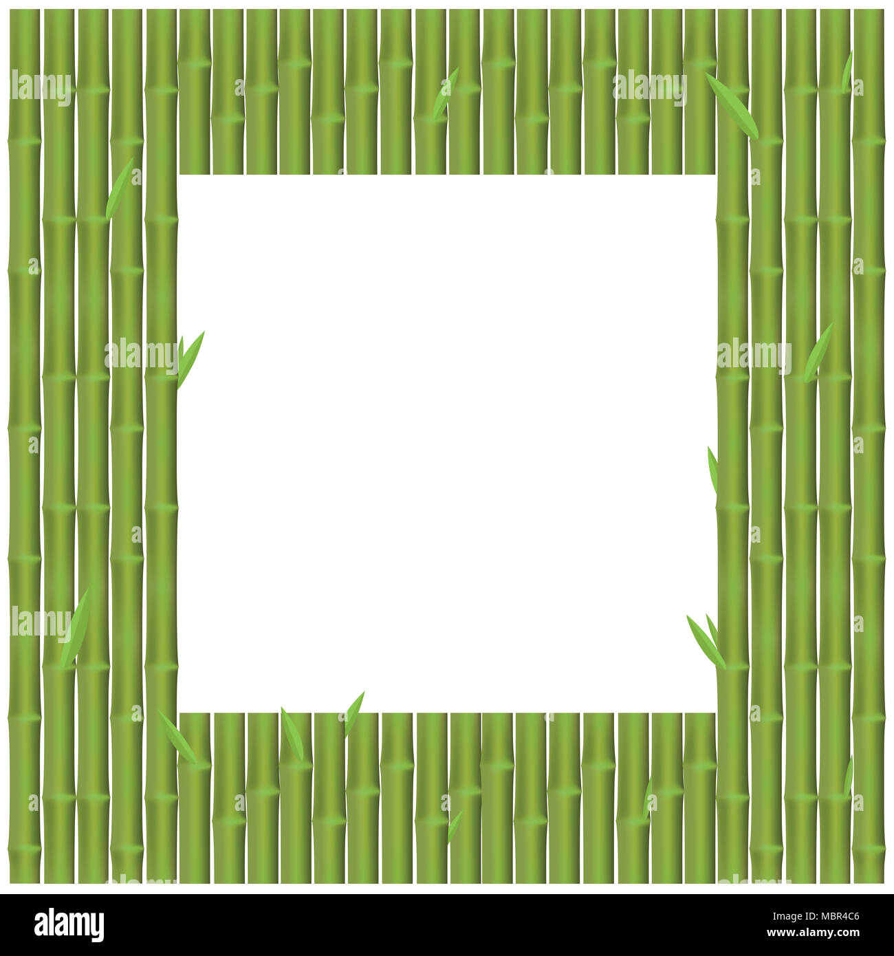 Bamboo panel backdrop for background design, and blank space for ...